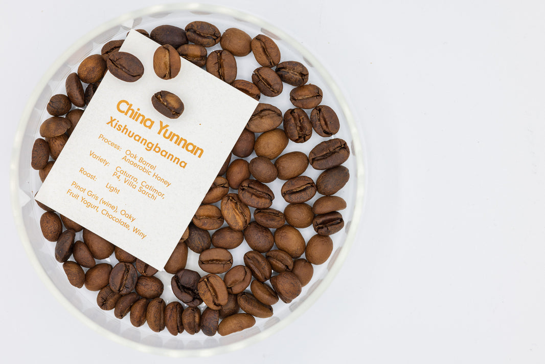 コレクション – KITASANDO COFFEE online store